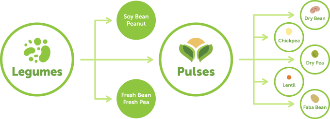 Eating Pulses - Alberta Pulse Growers