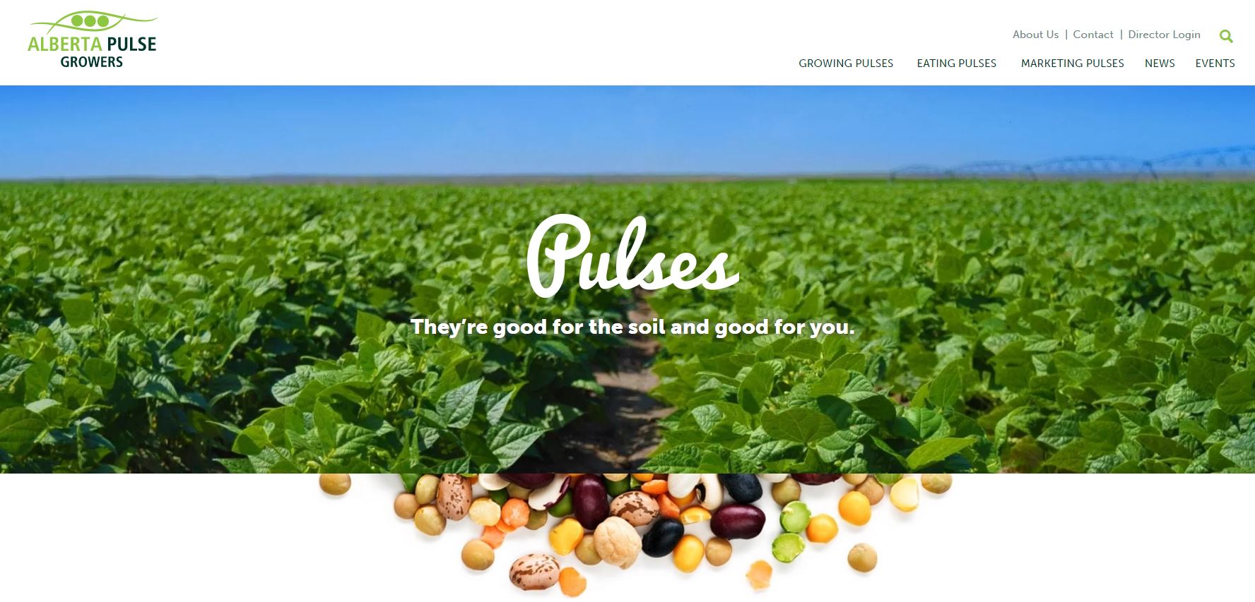 APG Launches New Website with Enhanced Features for Growers & Consumers - Alberta Pulse Growers
