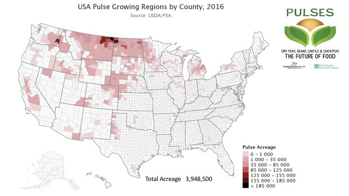 Pulse Market Insight #150 - Alberta Pulse Growers