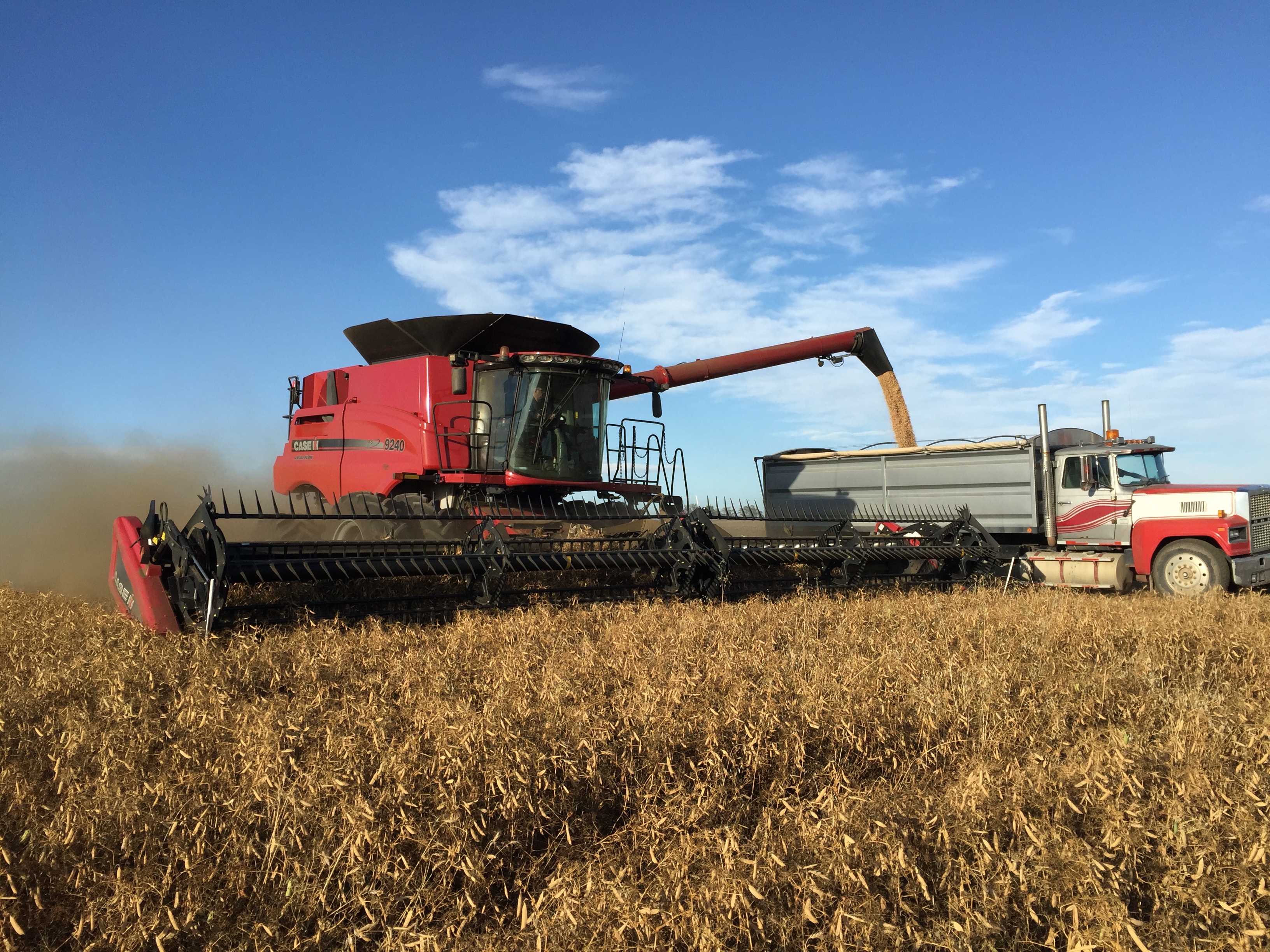 Harvesting & Storing Pulse Crops - Alberta Pulse Growers
