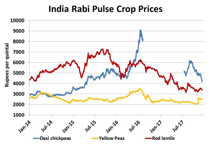 Pulse Market Insight #160 - Alberta Pulse Growers
