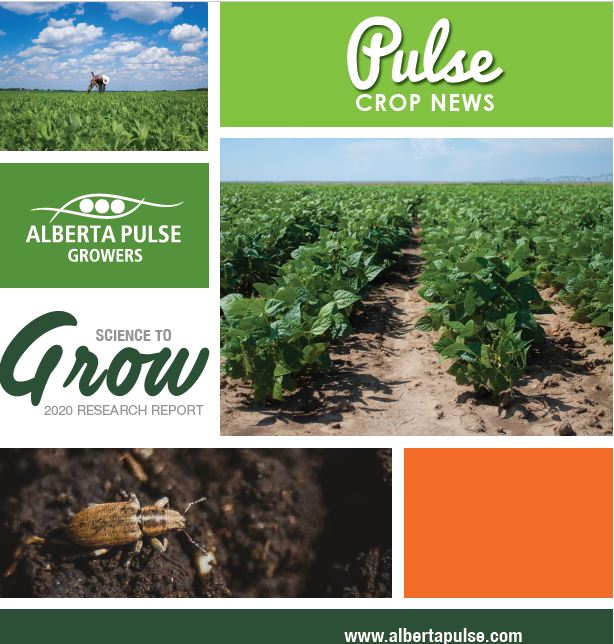 Pulse Crop News 2020 Research Report - Alberta Pulse Growers