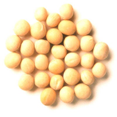 Peas for Producers - Alberta Pulse Growers