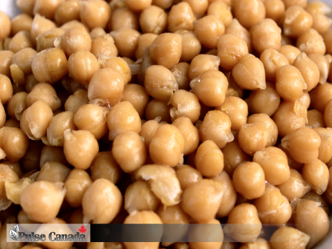 Chickpeas for Producers - Alberta Pulse Growers