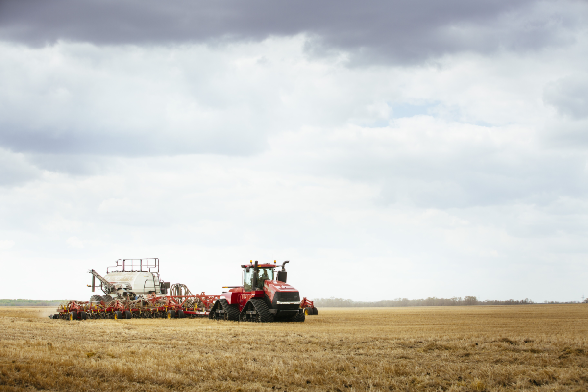 Field Pea - Seeding - Alberta Pulse Growers