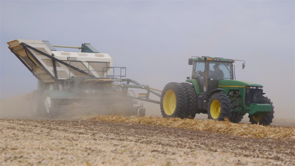 Dry Bean Harvesting - Alberta Pulse Growers