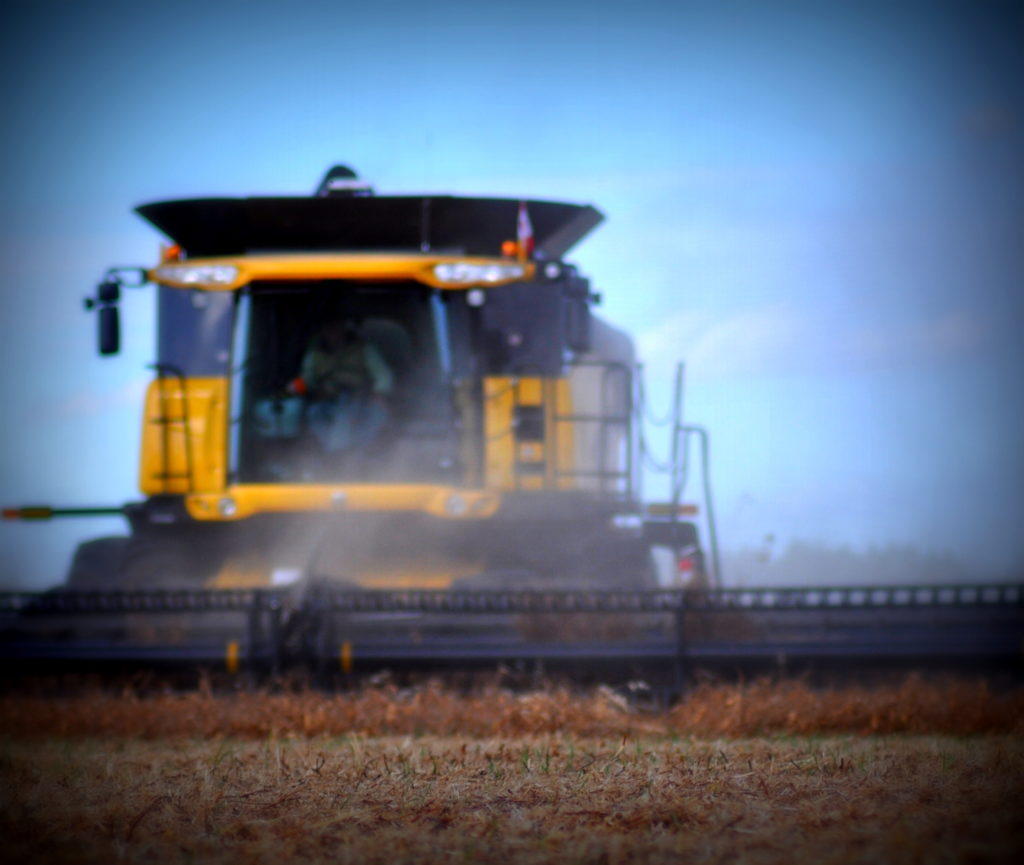 Field Peas - Harvesting - Alberta Pulse Growers
