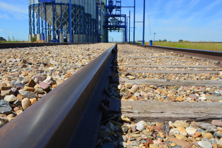 Soybean - Storage and Grading - Alberta Pulse Growers