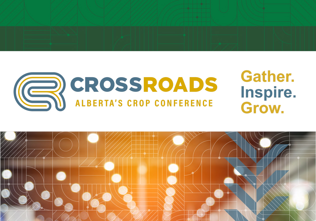 Four of Alberta’s crop commissions launch CrossRoads – Alberta’s Crop ...