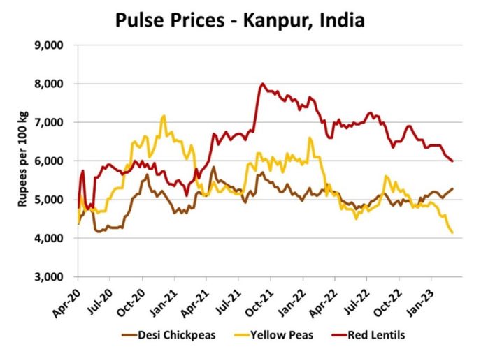 Pulse Market Insight #227 - Alberta Pulse Growers