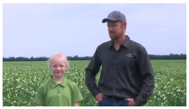 Pulses: Good for Body, Planet & Local Farms - Alberta Pulse Growers
